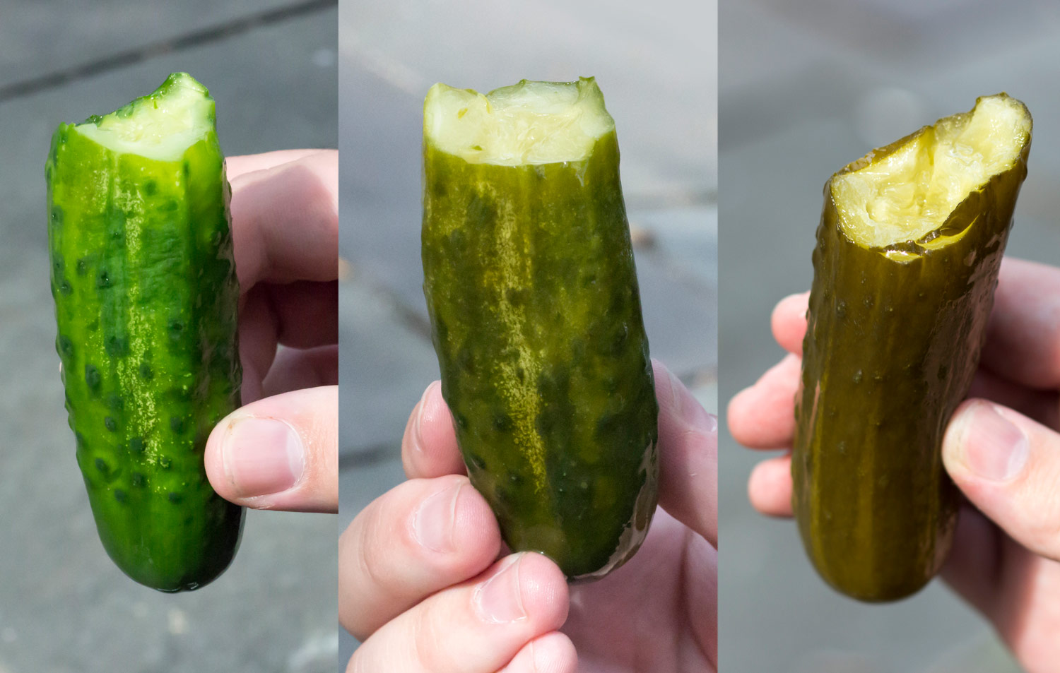 The Pickle Guys | Nut-Free New York